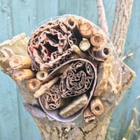 How to make a mini Bug Hotel :: Creating My Cambridge