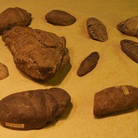 Victorian Coprolite Mining & Pterosaurs :: Creating My Cambridge